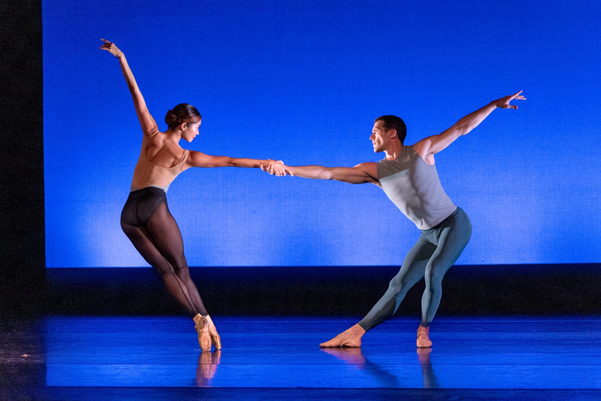 Chamber Dance Project | Dancers & Musicians